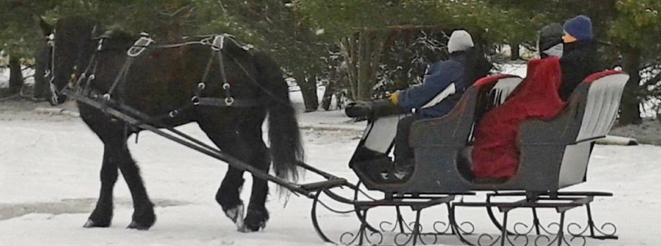 Willow Wind Carriage & Limousine Service