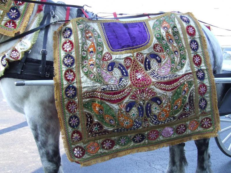 Indian Weddings | Willow Wind Carriage & Limousine Service