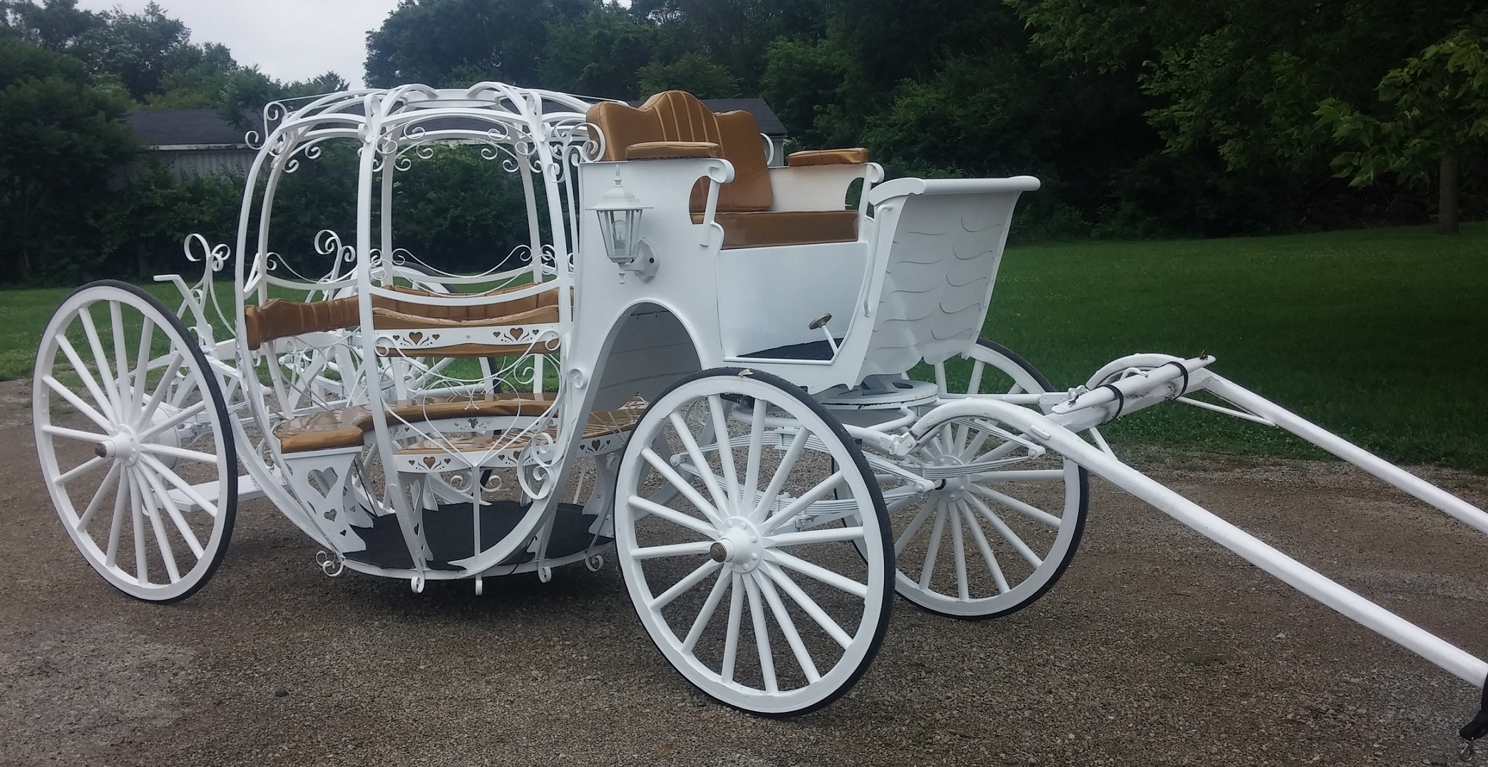This is our new Cinderella carriage with the complete globe. This ...